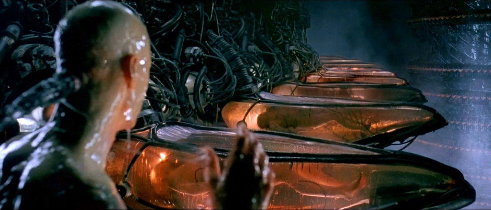 Ο ΑΔΩΝΙΣ ΚΑΙ ΤΟ MATRIX... - OANNES